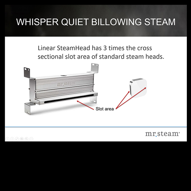 Linear SteamHead | Steam Shower | MrSteam